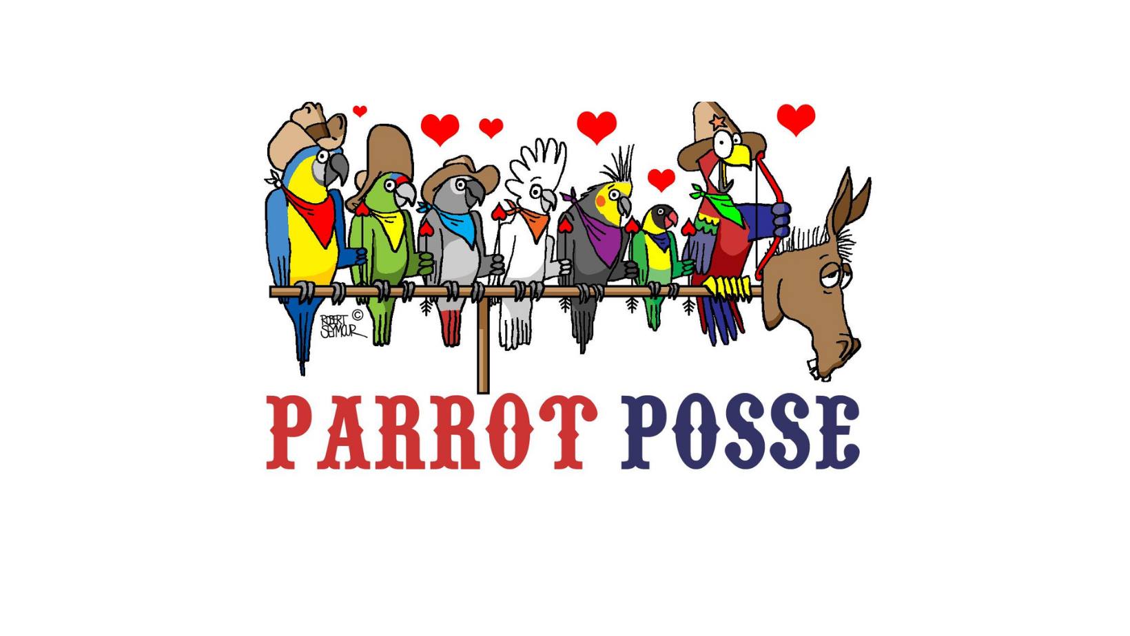 Exotic Bird Rescues and Sanctuaries in the USA - Monika's Mac Nuts